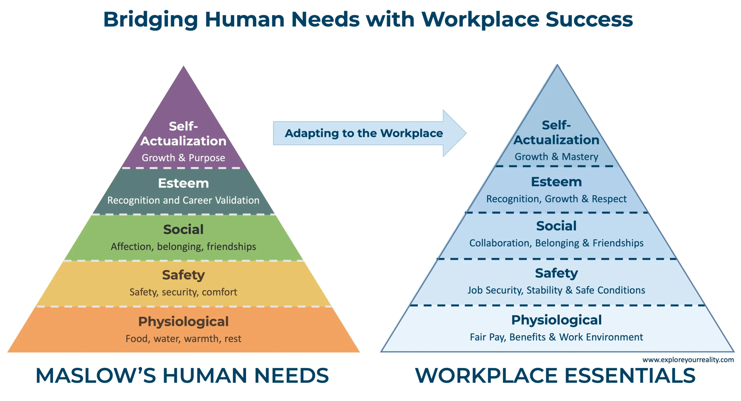 Workforce Management Hierarchy